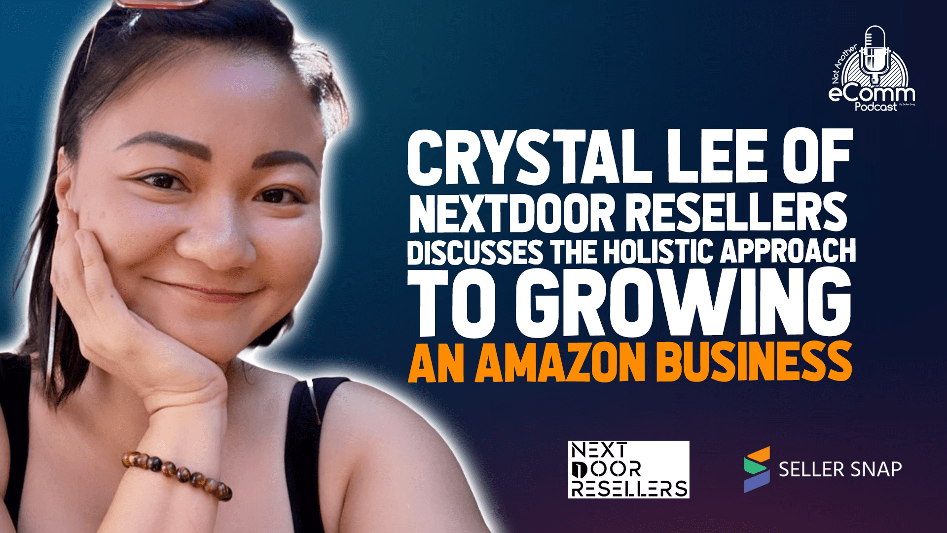 Not Another eComm Podcast - Seller Snap